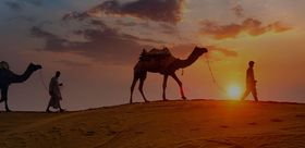 Ashampoo® Background Remover - Overview - Ashampoo®