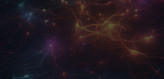 Ashampoo® – Home of Software - Ashampoo®