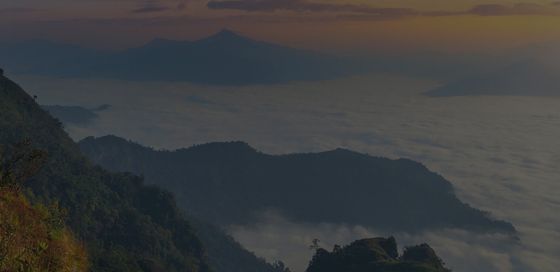 Ashampoo® Background Remover - Overview - Ashampoo®