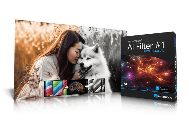 Ashampoo® AI Filter #1 professional - Overview - Ashampoo®