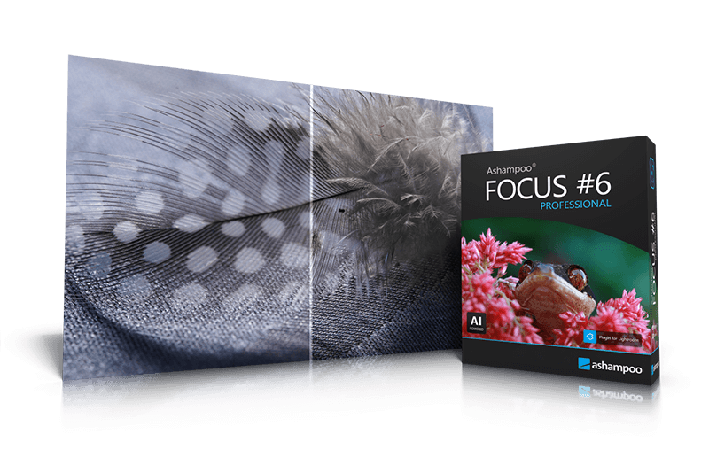 Ashampoo® FOCUS #6 professional - Overview - Ashampoo®
